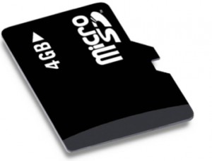 Systronics präsentiert neue microSD-Karte von Cactus - StorageNewsletter