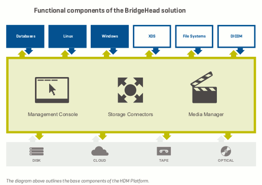 BridgeHead Healthcare Data Management Platform Simplifies Integration ...