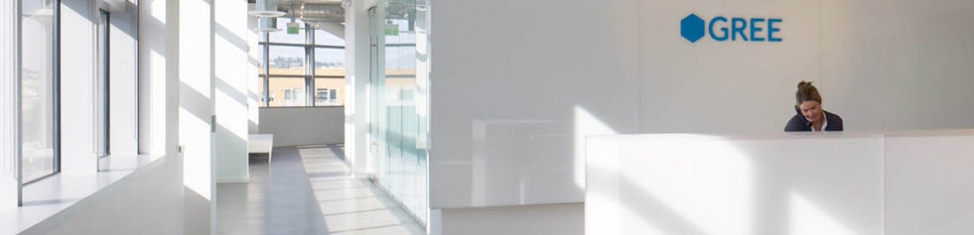 Gree International in Japan Chooses Box - StorageNewsletter