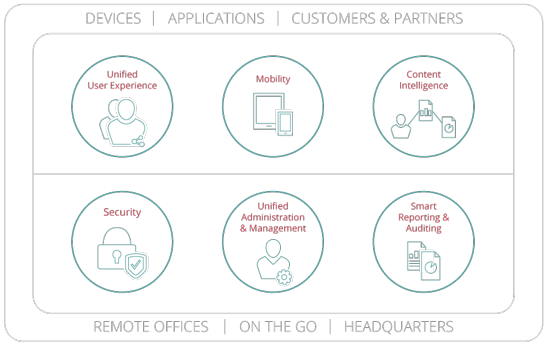 Egnyte Delivers Integrations Across All Microsoft Office 365 Versions ...