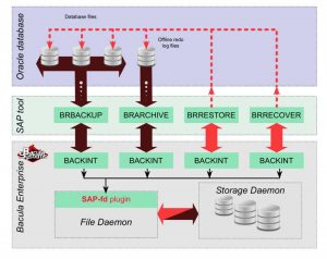 Bacula Enterprise Edition Achieved Certified Integration With SAP HANA ...