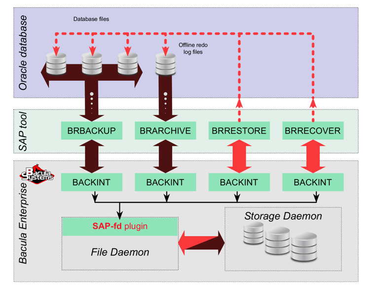 Bacula Enterprise Edition Achieved Certified Integration With SAP HANA ...