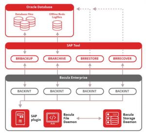 Bacula Enterprise Edition V8.10 Customizable Backup and Restore ...