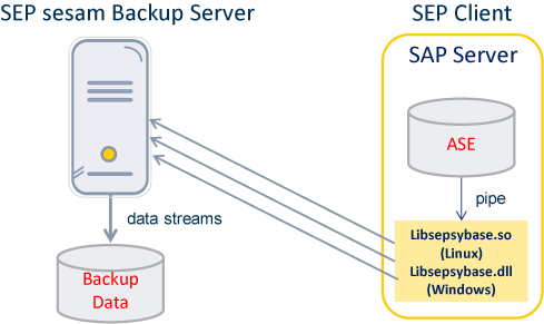 SEP sesam Hybrid Backup Software Certified for SAP Hana on Red Hat ...