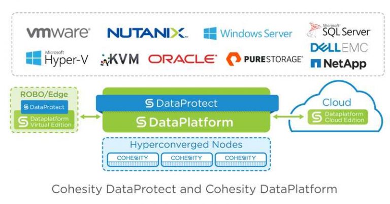 Microsoft Ignite: Cohesity Unveils Integration With Office 365 and ...