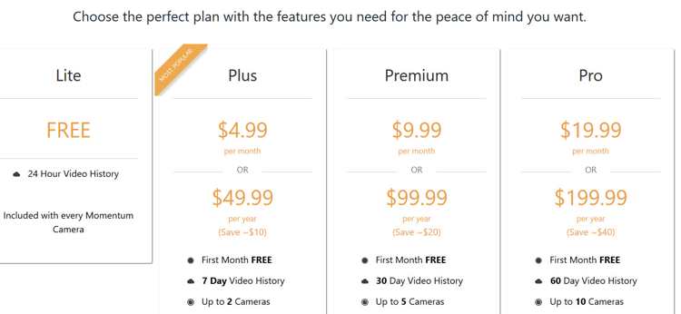 Momentum Capture: Cloud-Based Video Storage Plans - StorageNewsletter