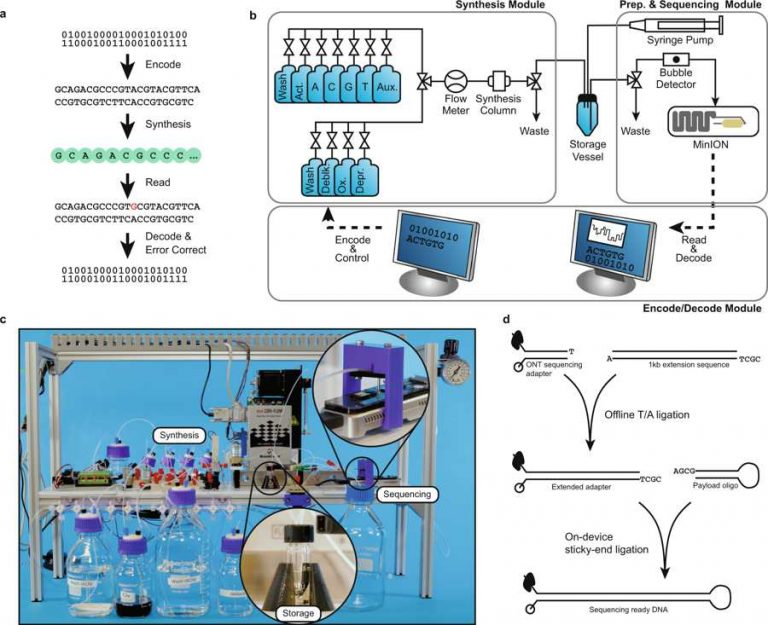 R&D: Demonstration of End-to-End Automation of DNA Storage ...