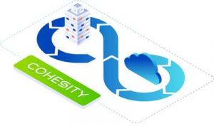 Agile Dev and Test For DataPlatform From Cohesity - StorageNewsletter