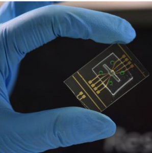 Chinese Researchers Make DNA Storage Breakthroughs - StorageNewsletter