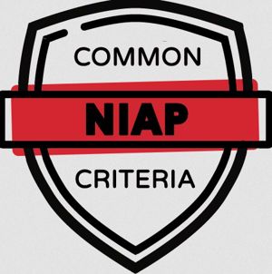 DigiStor Receives Common Criteria Certification, NIAP Listing - StorageNewsletter