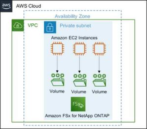 Using QoS in Amazon FSx for NetApp Ontap - StorageNewsletter