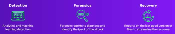 Ransomware and Malware Underscore Need for Expanding Cyber Storage ...