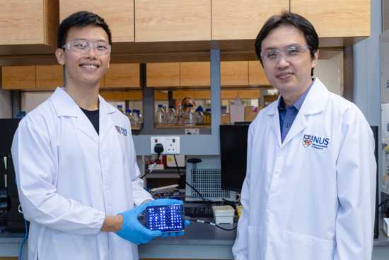 National University of Singapore (NUS) Capturing Immense Potential of ...