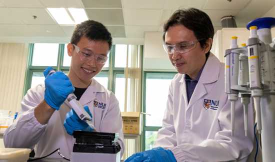 National University of Singapore (NUS) Capturing Immense Potential of ...