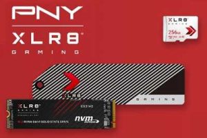 PNY XLR8 Gaming Range for PS5 and Consoles - StorageNewsletter