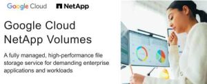 Introducing Google Cloud NetApp Volumes Flex Volumes, Auto-Tiering, and more - StorageNewsletter
