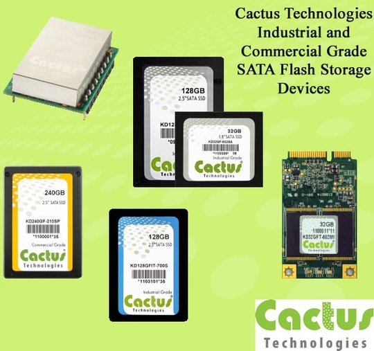 Cactus With Several Commercial and Industrial Grade SATA SSDs ...