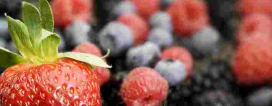 Menigo, Swedish Culinary Arts Supplier, Selects DH2i Virtualization ...