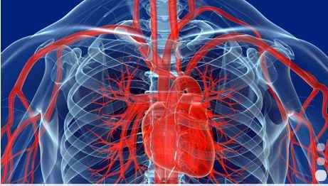 Nexsan SATABeast Arrays at UK Wellcome Trust Centre for Human Genetics ...