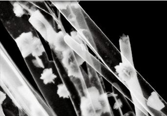 Nano-Magnetic Sensors For Massive Storage Capacity - StorageNewsletter